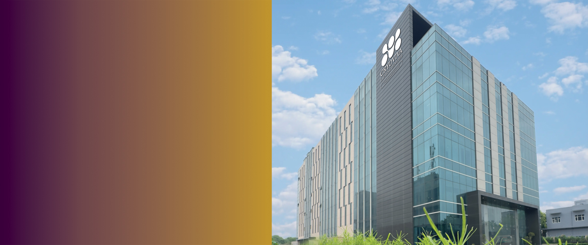 About Us | Cryoviva Life Sciences – Stem Cell & Cord Blood Banking Experts