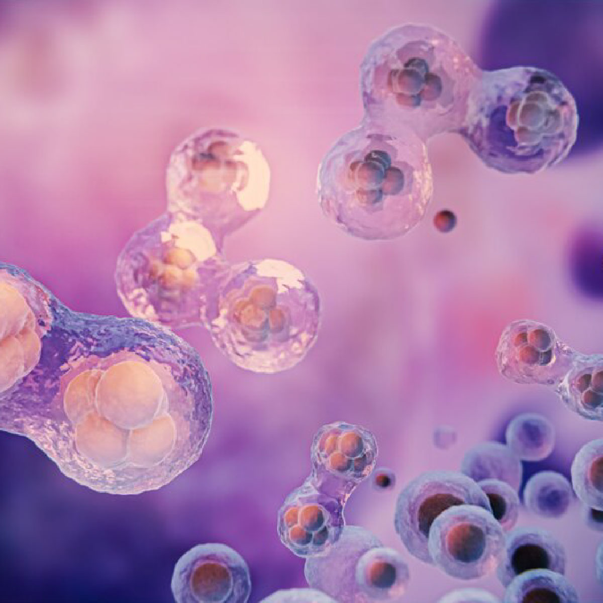 Healing Potential of Mesenchymal Stem Cells Explained