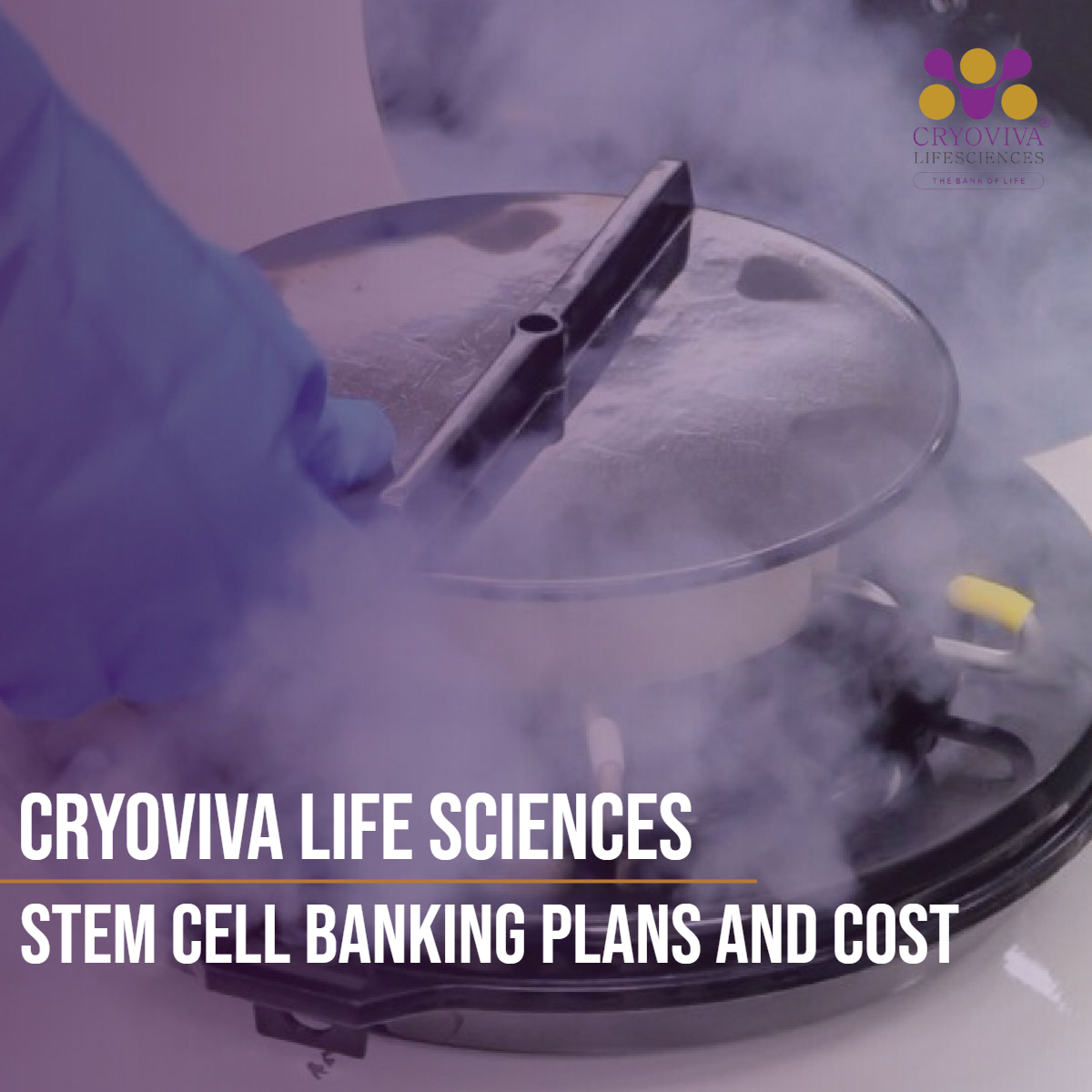 Cryoviva Life Sciences Stem Cell Banking Plans and Cost