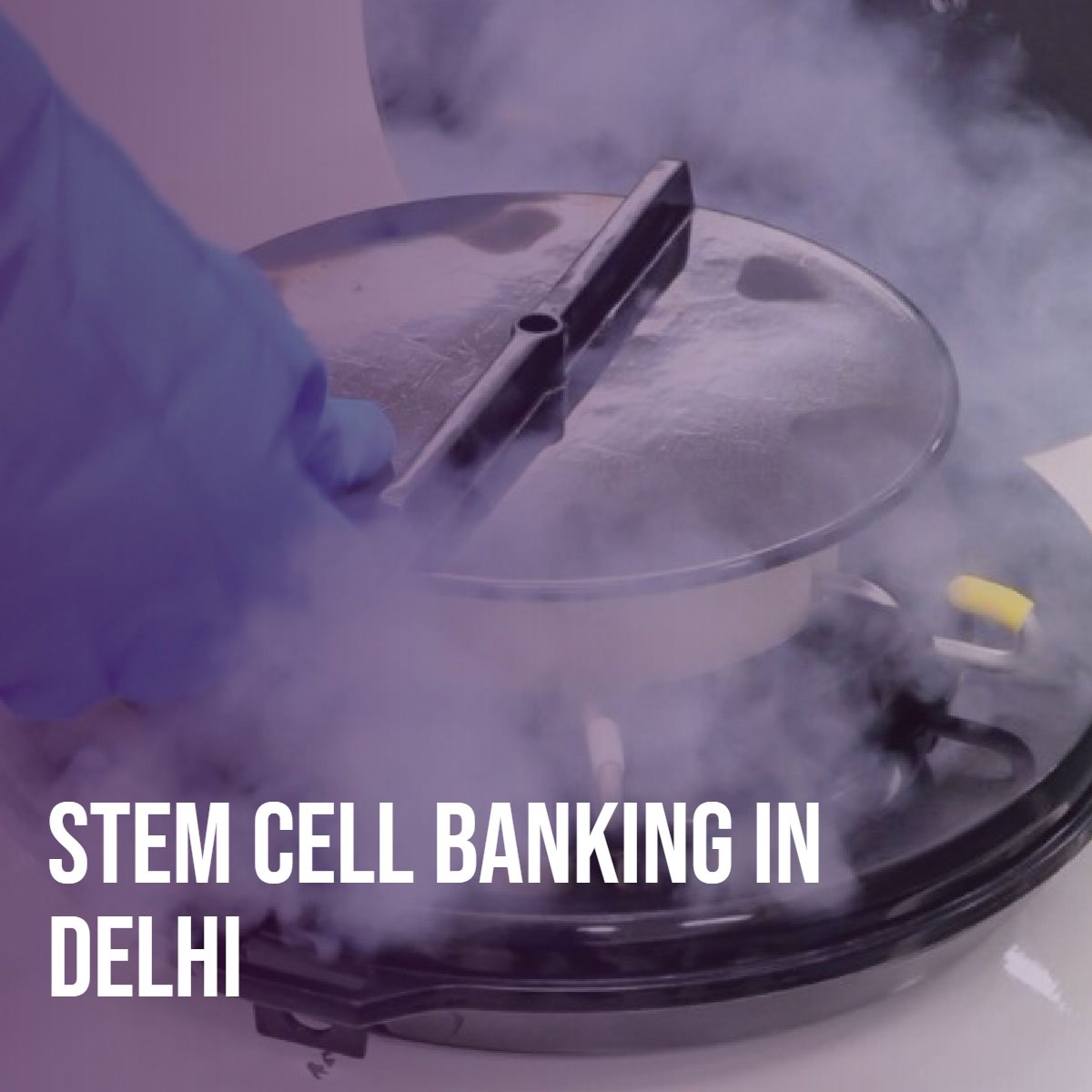 Affordable Stem Cell Banking Service in Delhi