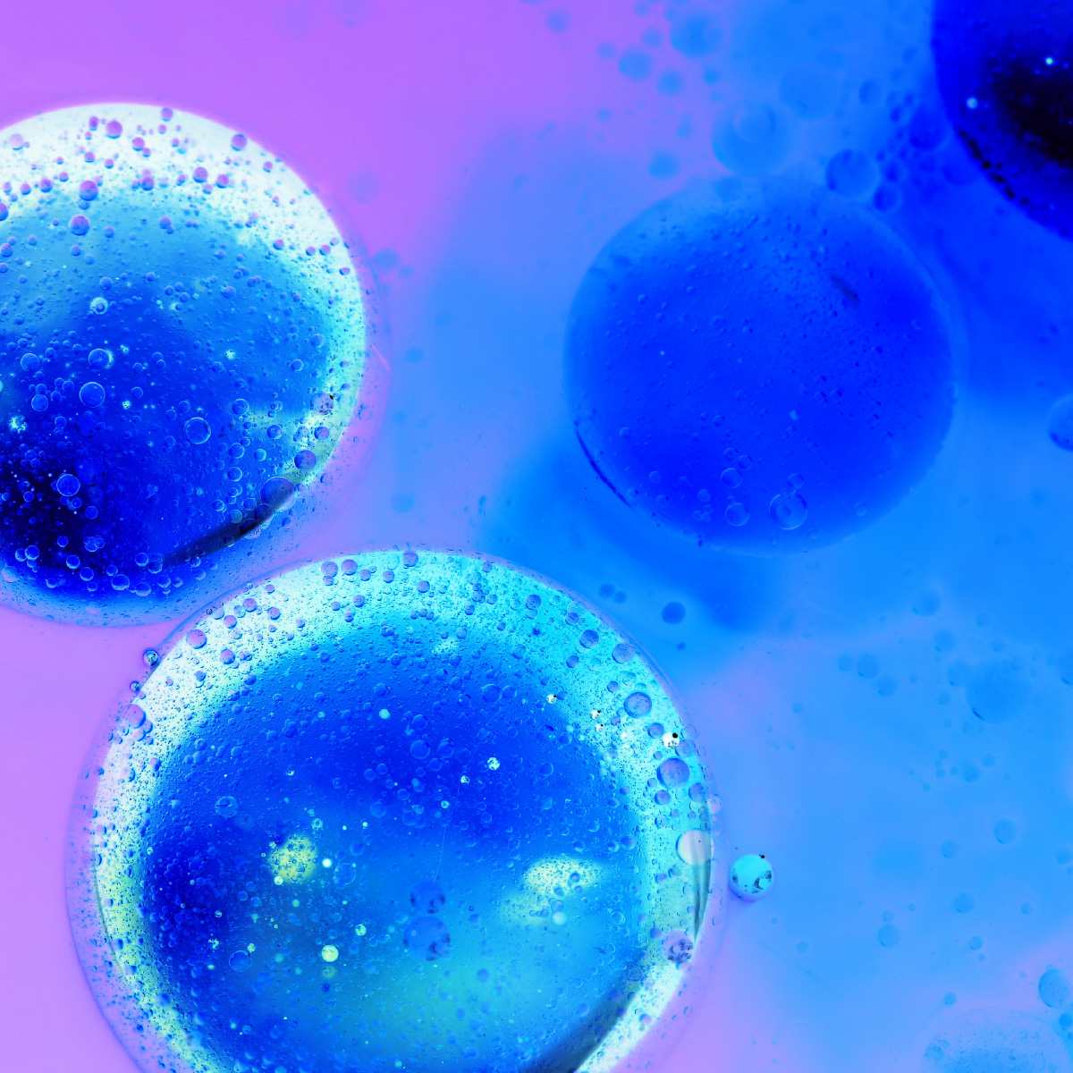 Stem Cell Preservation Cost in India: Everything You Need to Know